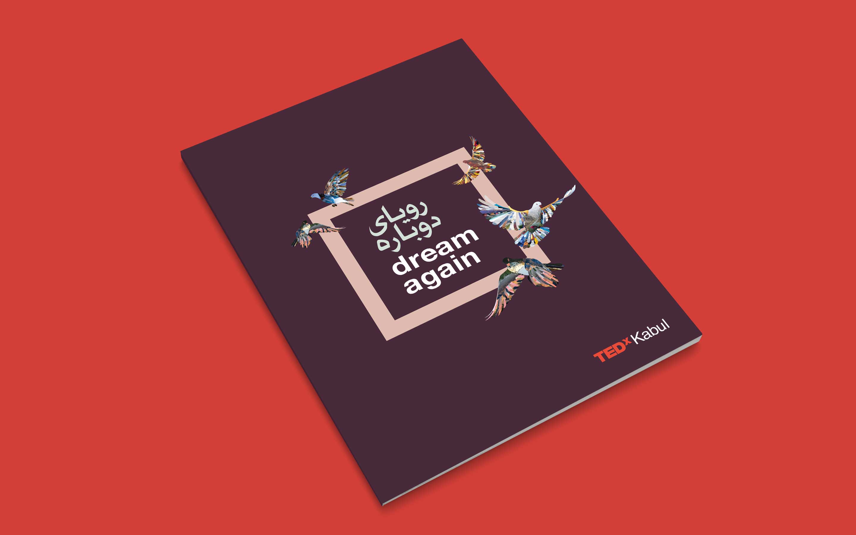 TEDx Kabul 2016 Branding - CONDUIT