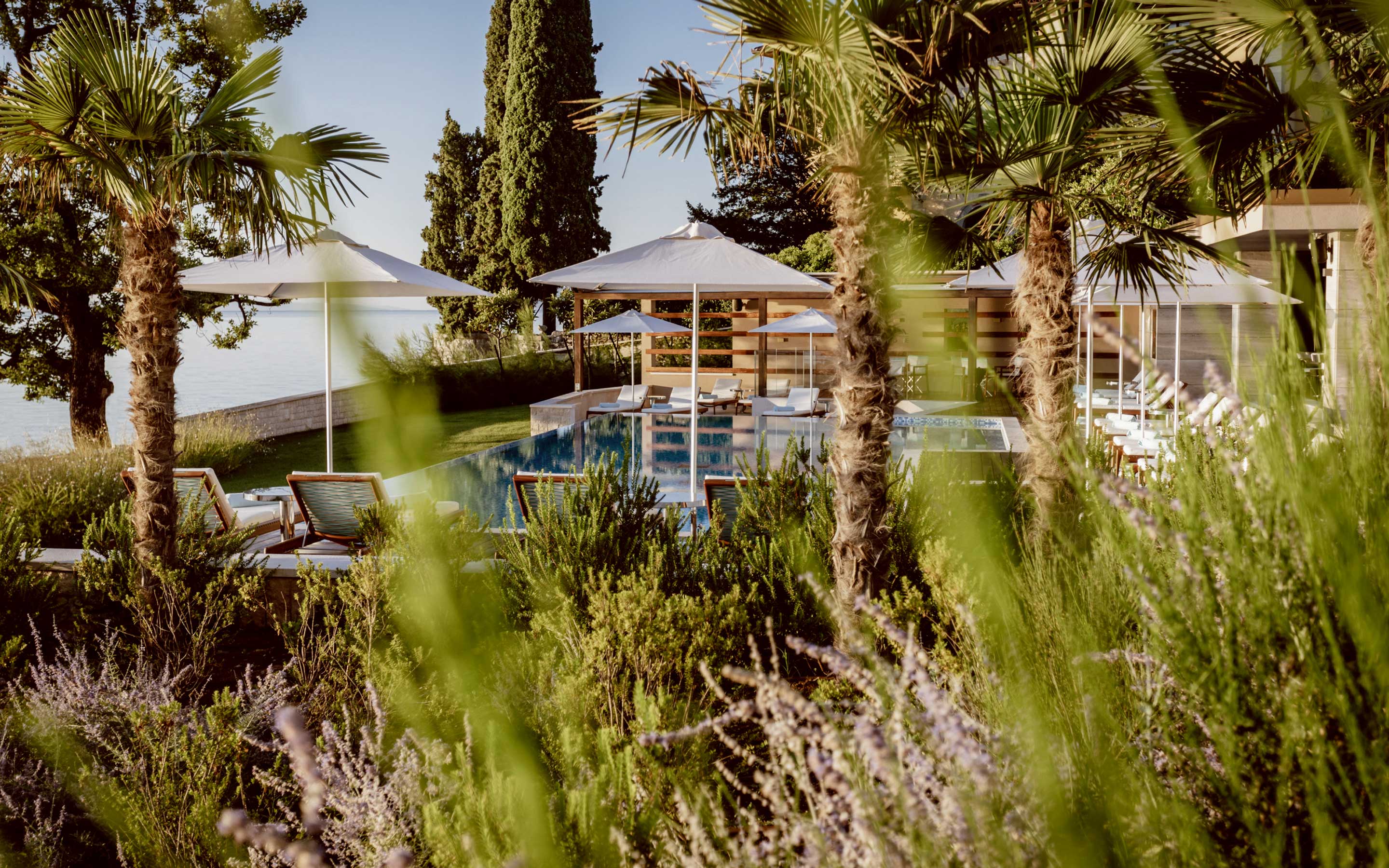 Tuuci Website - CONDUIT